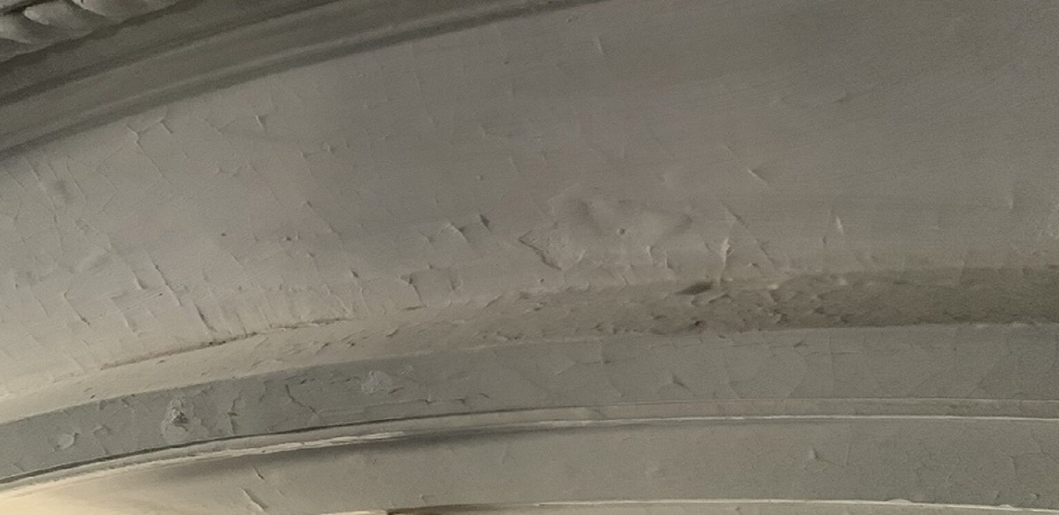 Common Types of Water Damaged Plaster | Canning Liturgical Arts